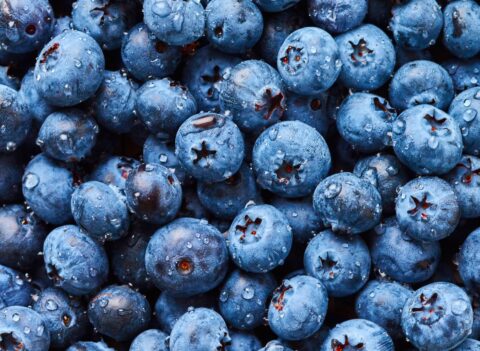 Blueberries: Calories, Weight Loss, Nutrition Facts, & Health Benefits